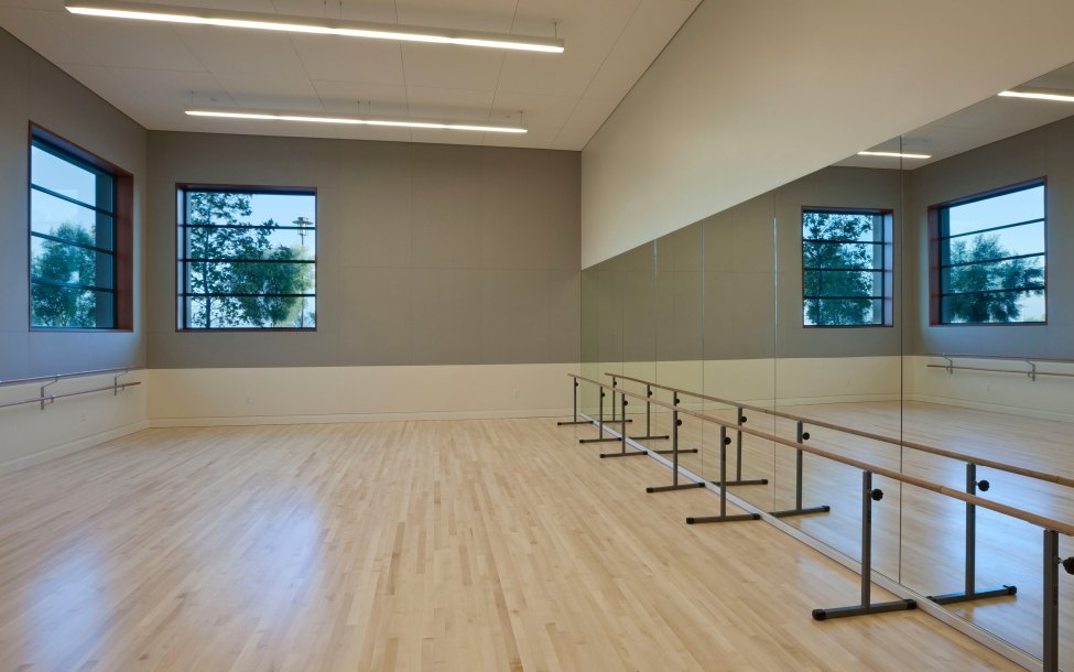 Soka Performing Arts Center Project - McCarthy