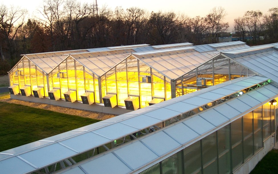 Donald Danforth Plant Science Center - McCarthy