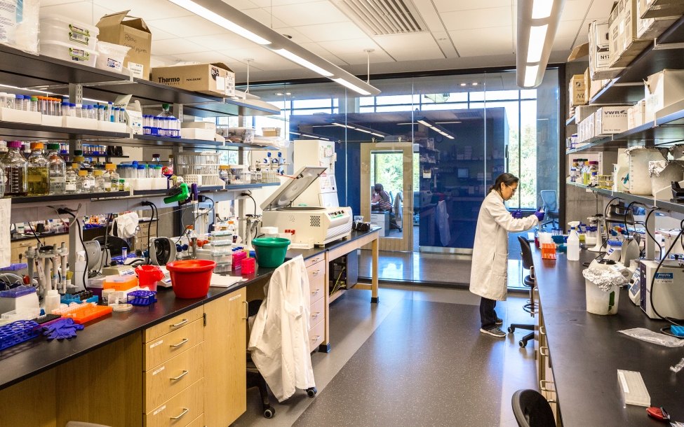 Engineered Biosciences Building - McCarthy Construction