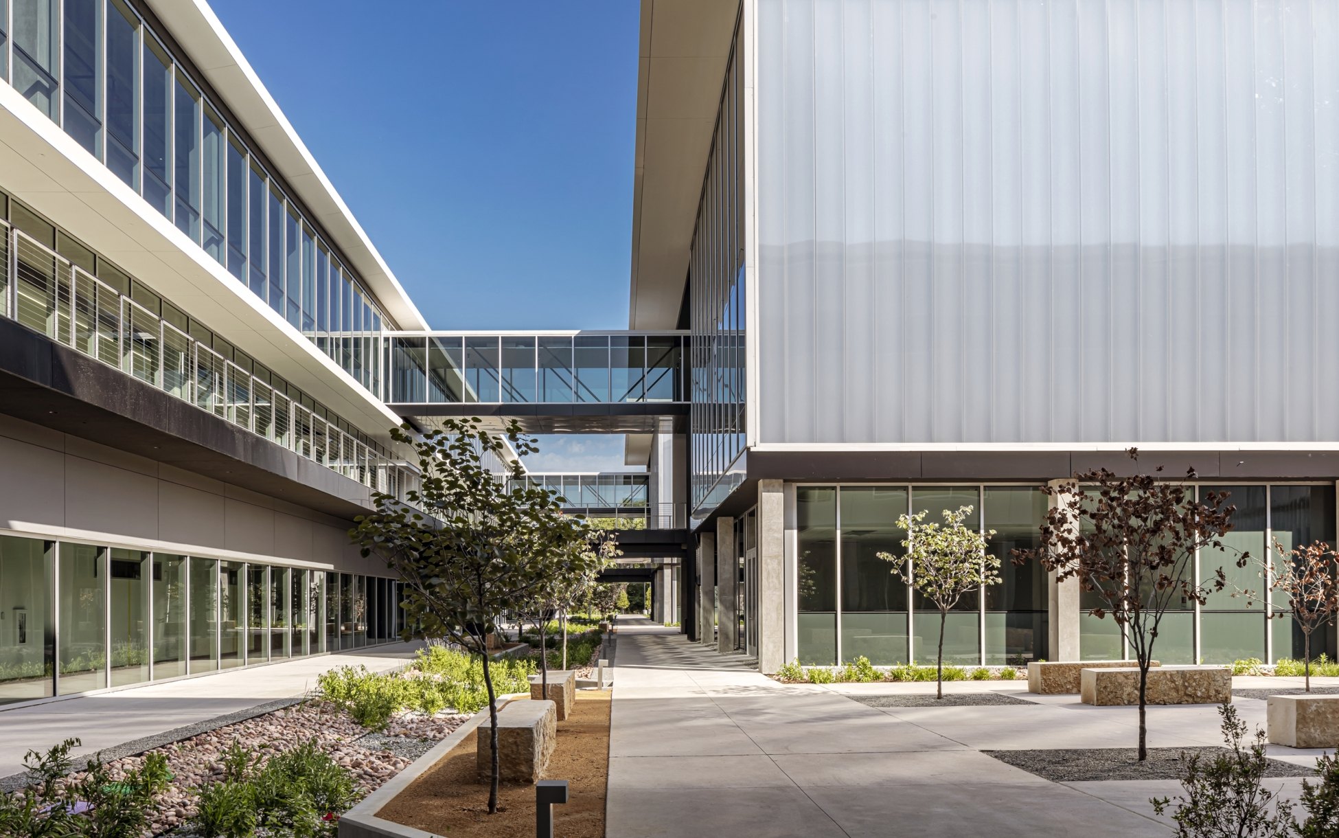 Collin College Technical Campus - McCarthy