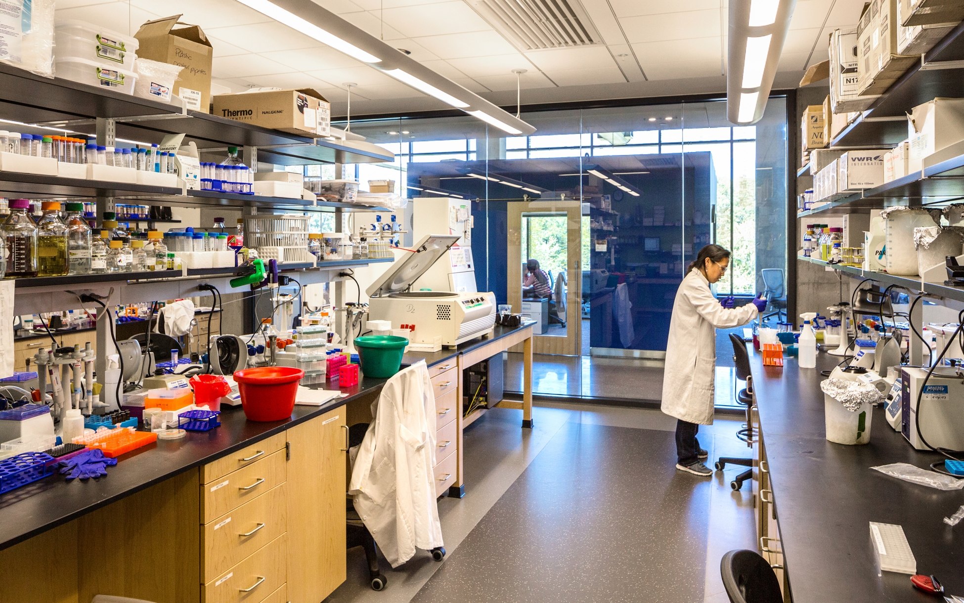 Engineered Biosciences Building - McCarthy Construction