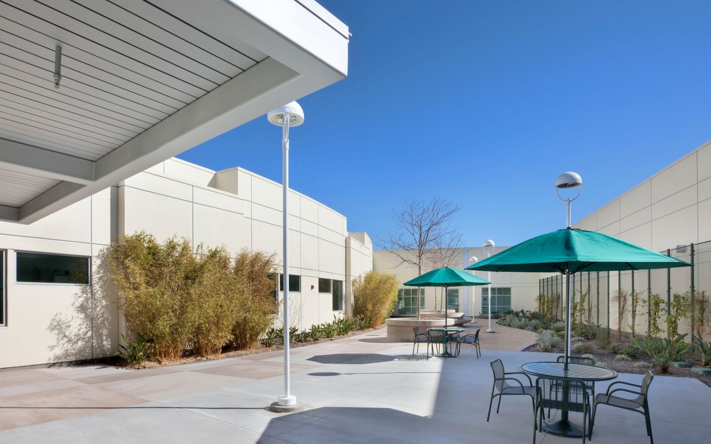 Olive View Medical Center Expansion - McCarthy