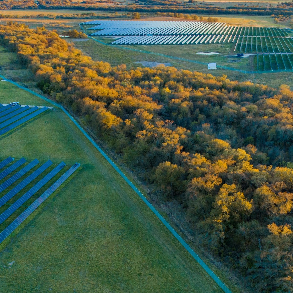 Veterans Help Build New Texas Solar Farm - McCarthy