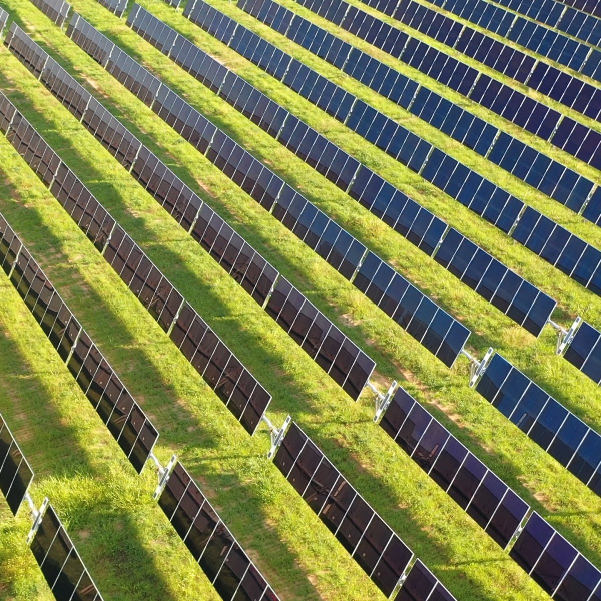 McCarthy Completes Two Solar Projects for Silicon Ranch