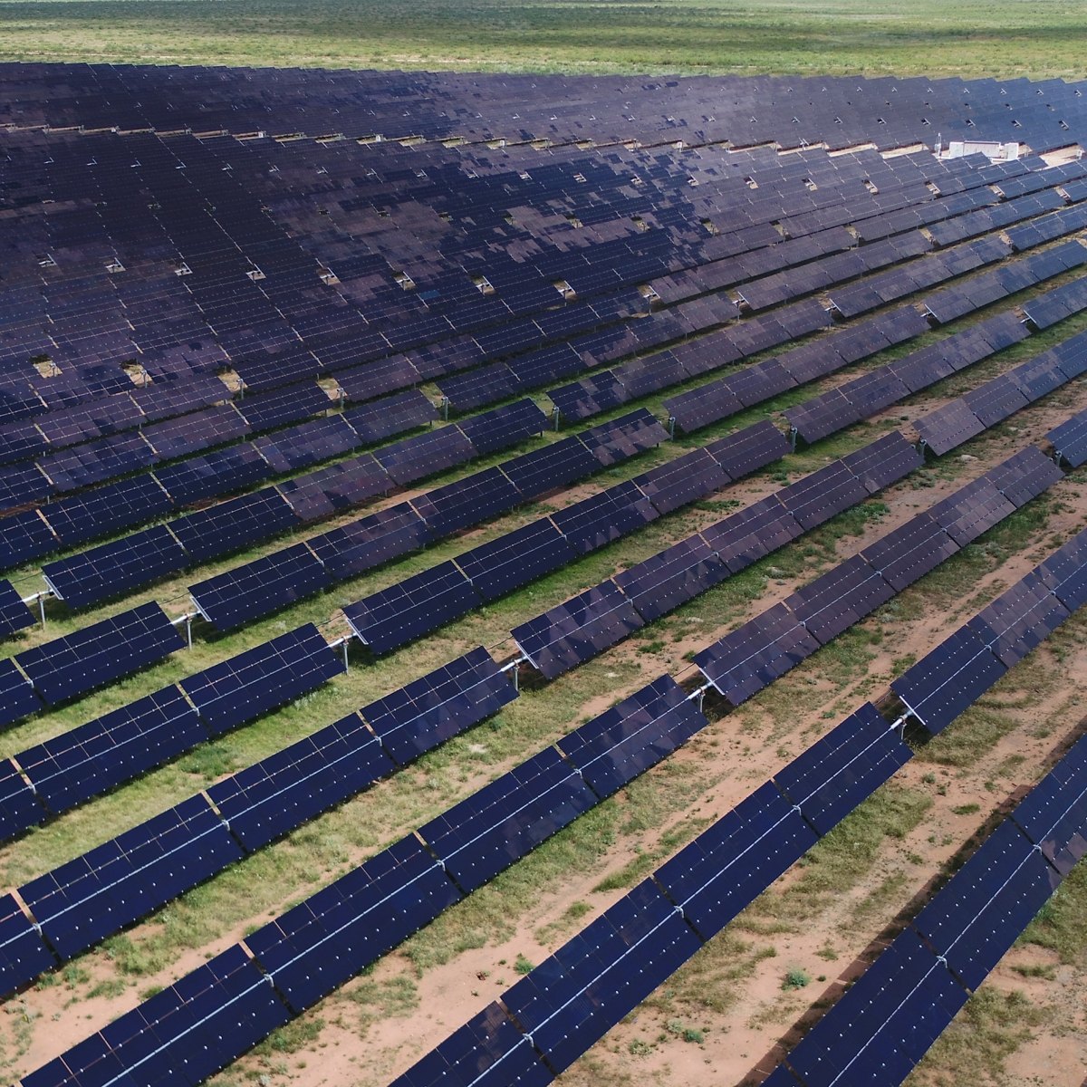 Texas Solar Development - McCarthy Building Companies