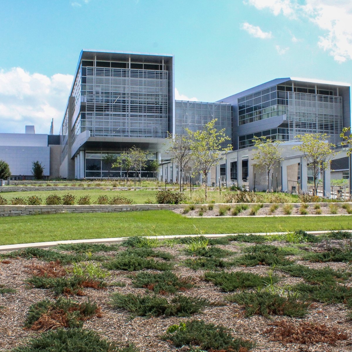 National Bio and Agro-Defense Facility | McCarthy